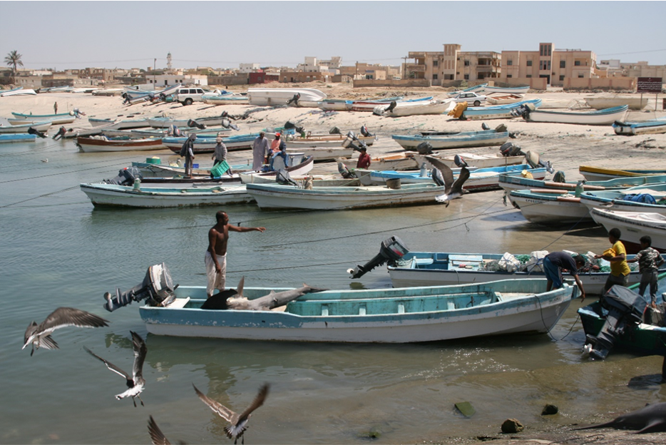 Fisheries in Oman - MacAlister Elliott & Partners
